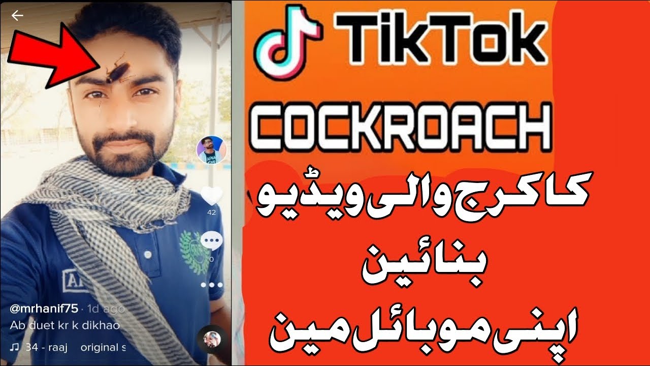 tiktok cockroach editing|tiktok cockroach editing video|Haneef Baloch - YouTube