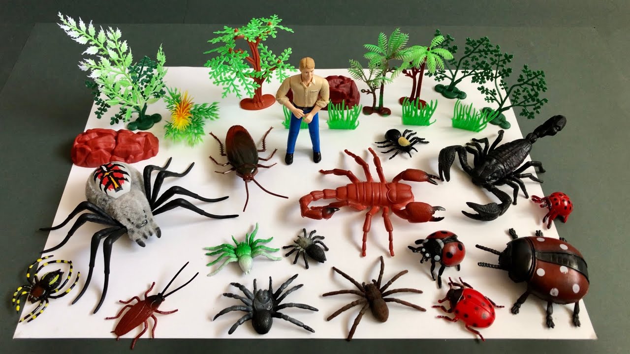 Insects and Bugs step in the Farm | Toy Insects and Animals - YouTube