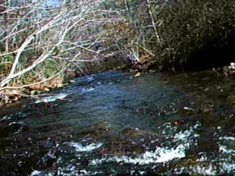 South Toe River, NC. Clear Creak to Carolina Hemlocks. - YouTube