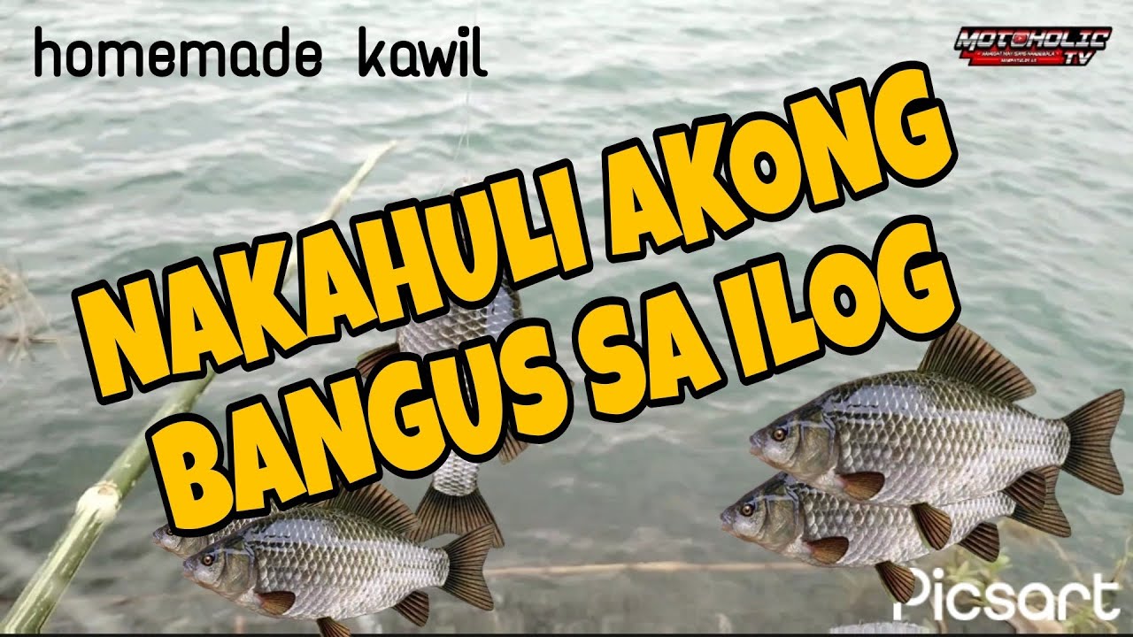 Malaking Bangus sa ilog - YouTube