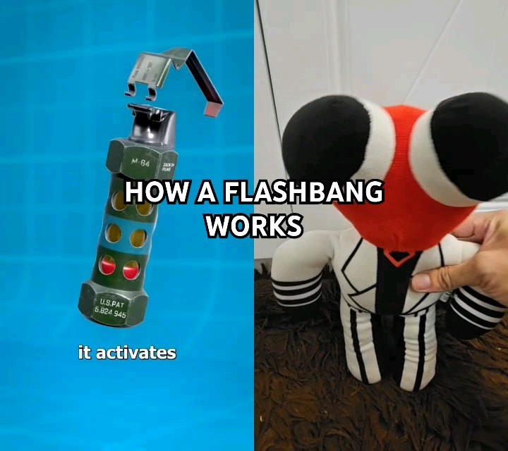 How a flashbang works #plushies #plush #rainbowfriends #sciencefacts # ...