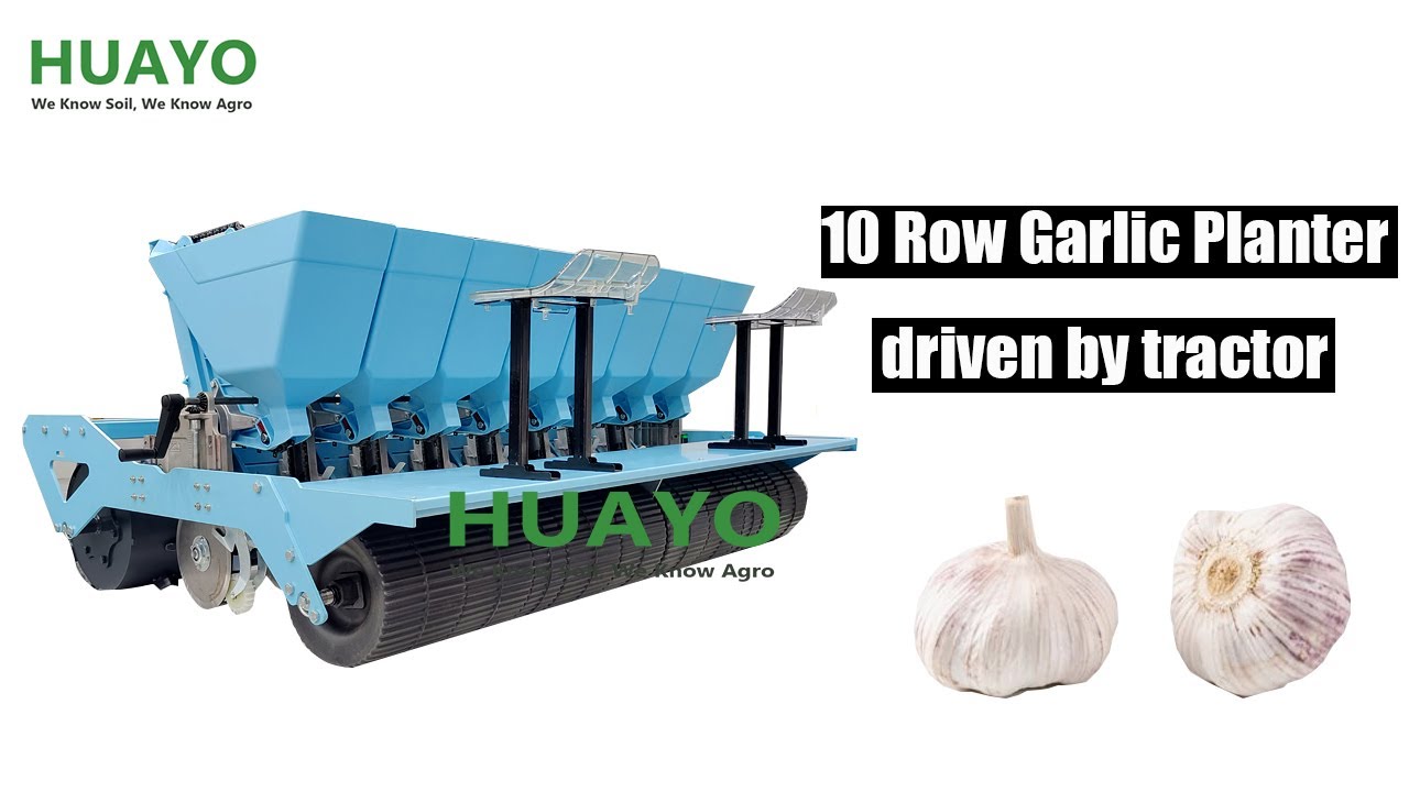 10-Row Seed Garlic Planter driven by Tractor to plant Garlic Clove Seed ...