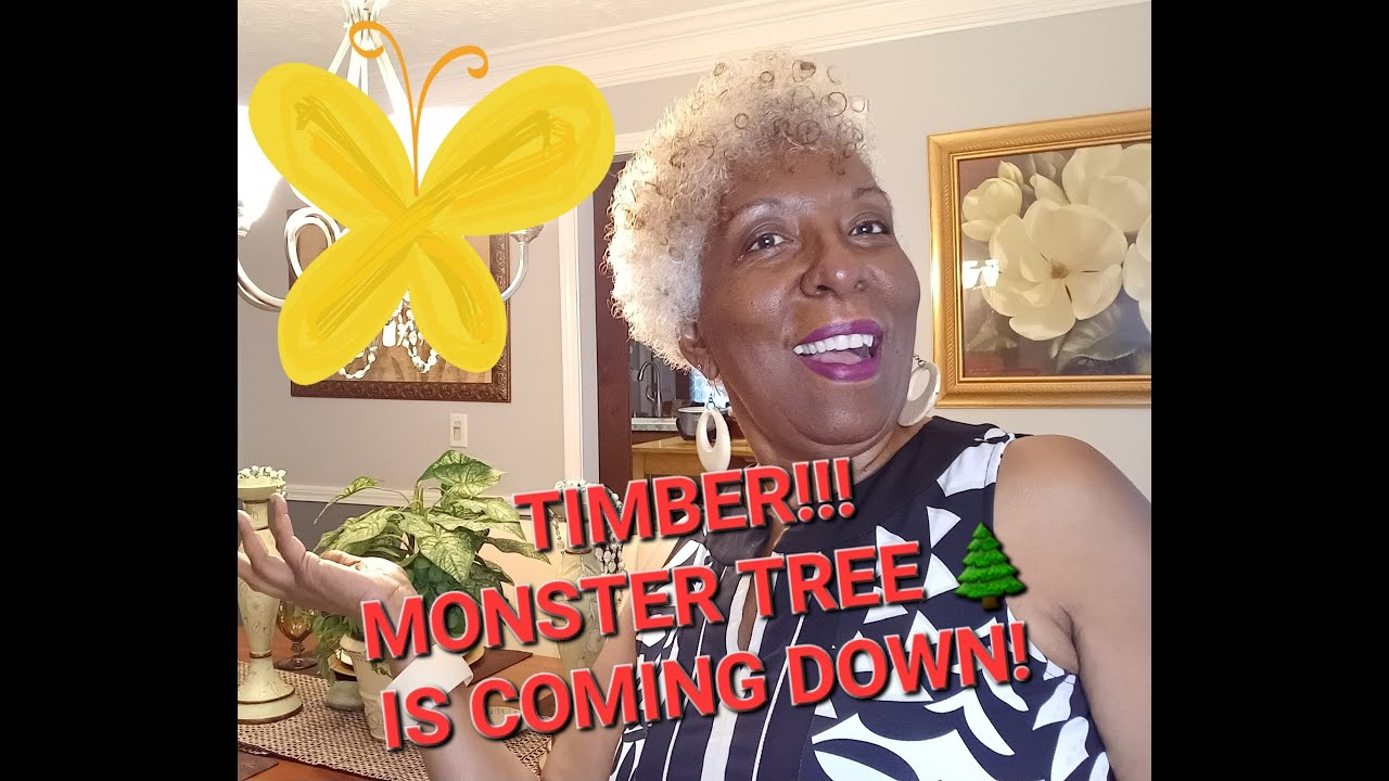 TIMBER!! MONSTER SIZED CYPRESS TREE IS COMING DOWN! WATCH WITH ME AS IT ...