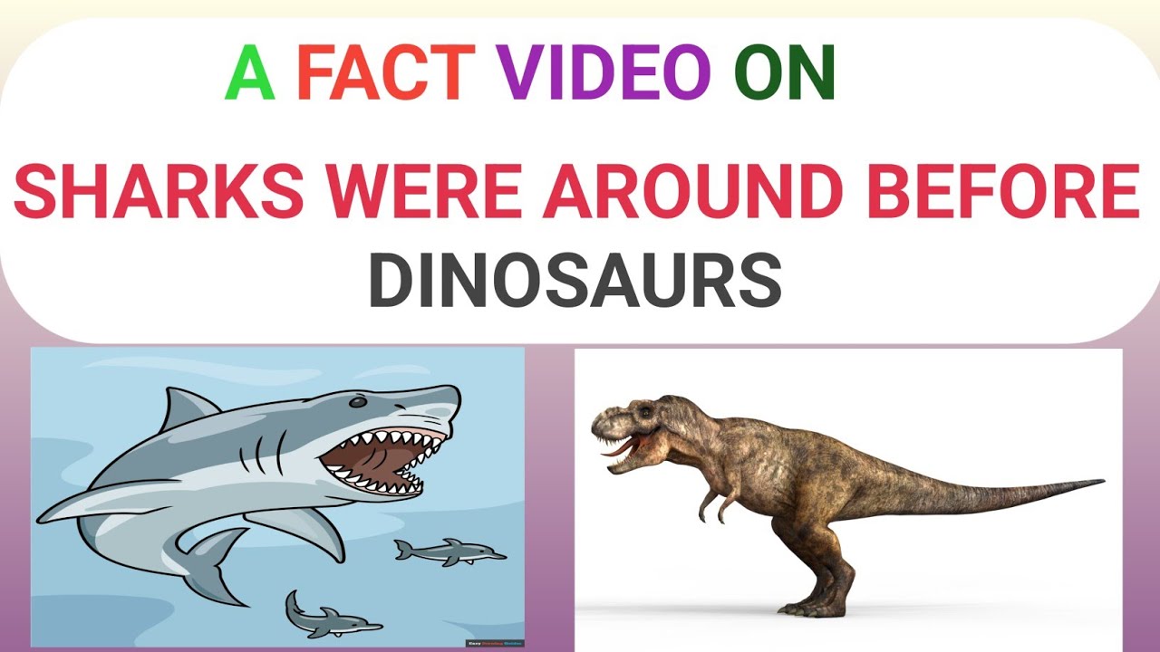 SHARKS WERE AROUND BEFORE DINOSAURS - YouTube