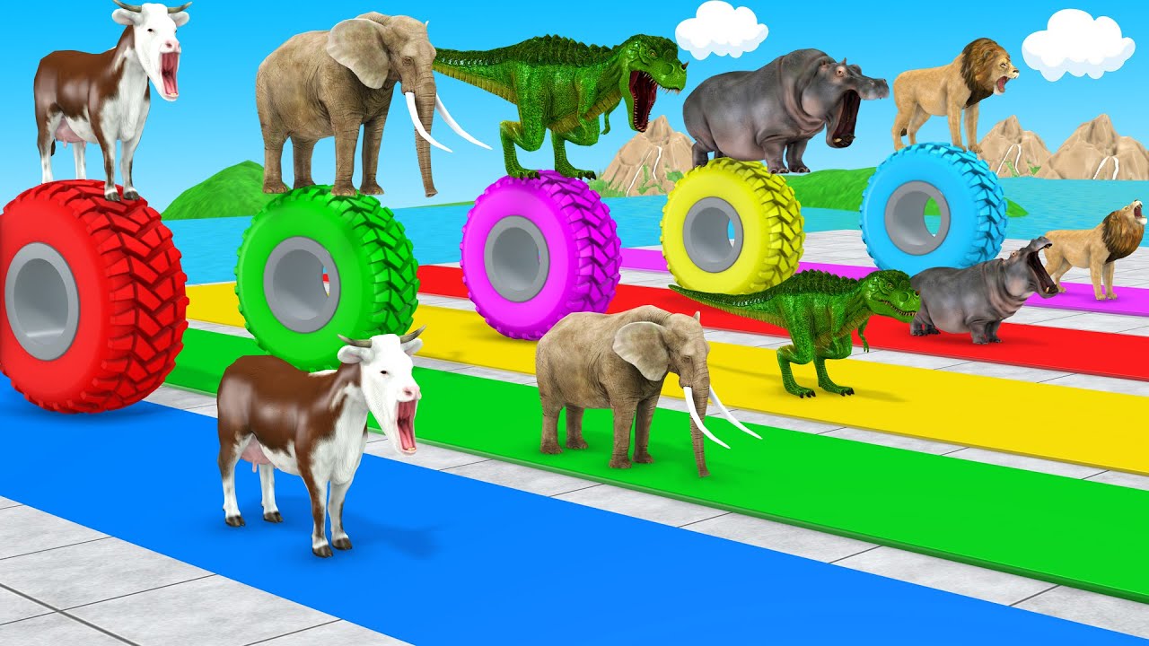 Cleaning Cows Mammoth Elephant Tiger Gorilla bears sheep chickens ...