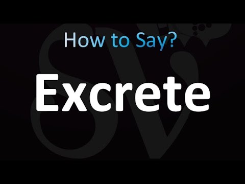 How to Pronounce Excrete (CORRECTLY!) - YouTube