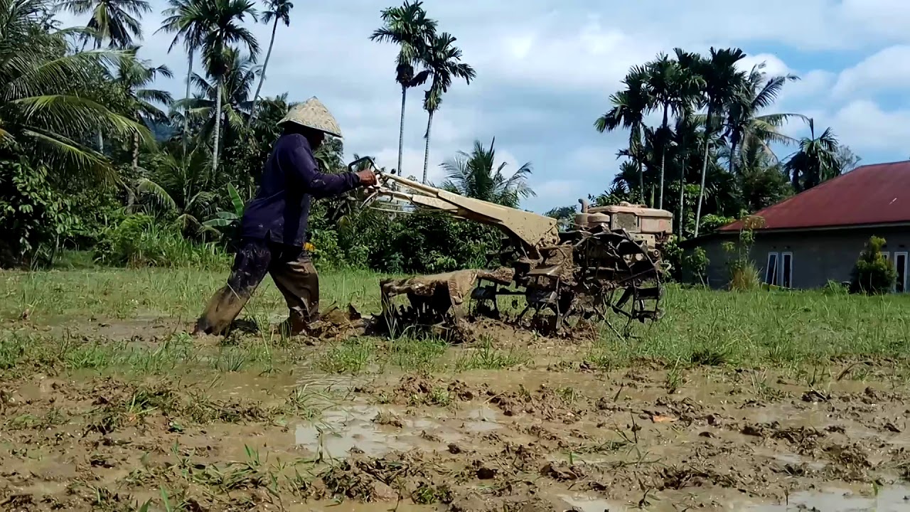 Cara Mudah Modern Langkah Awal Pengolahan Tanah Sawah Sebelum Tanam ...