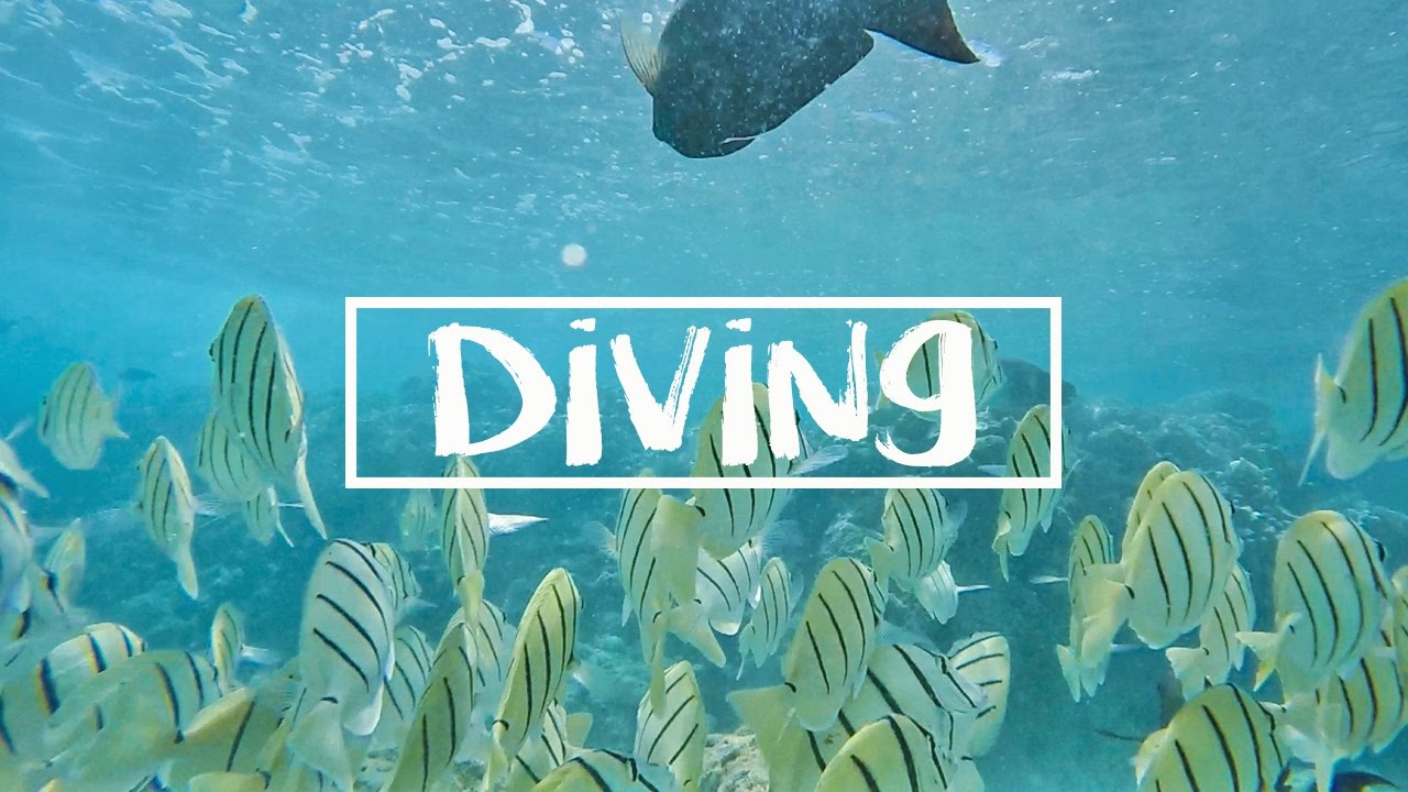 HAWAII: DIVING WITH FISH + LOST MY GOPRO!! - YouTube