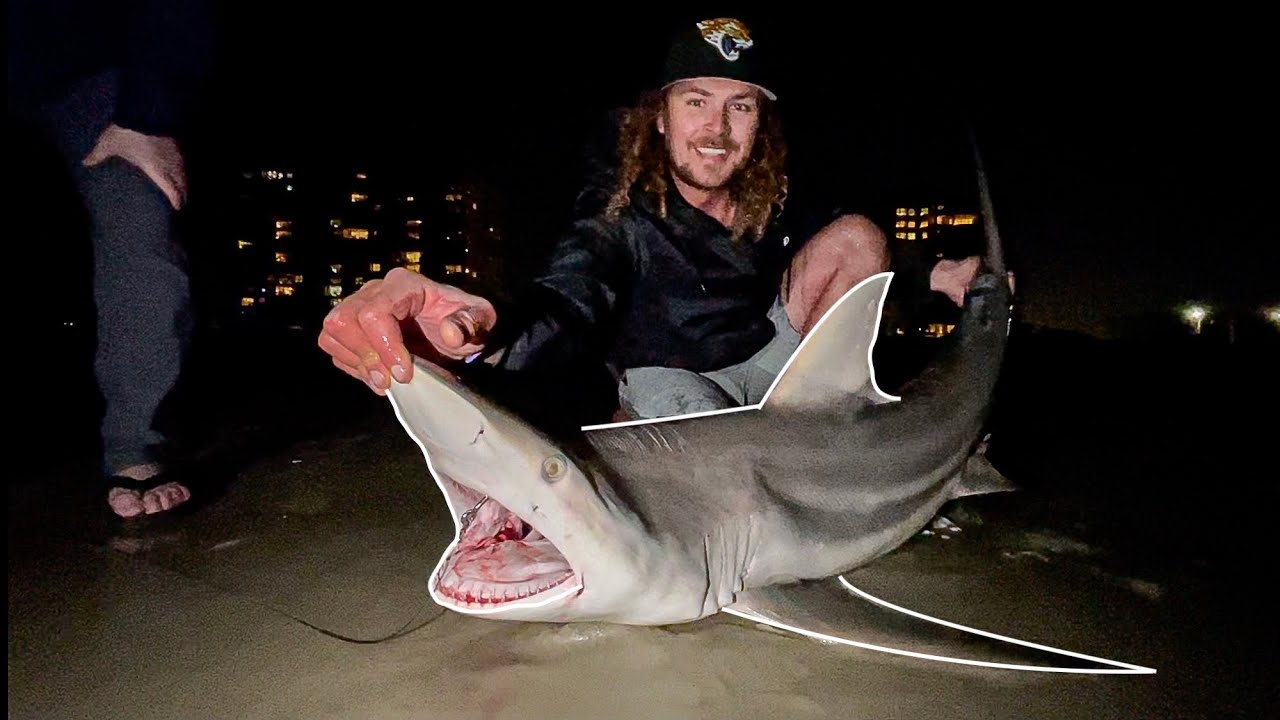 Jacksonville Beach BLACKTIP Migration {Land-based SHARK FISHING} - YouTube