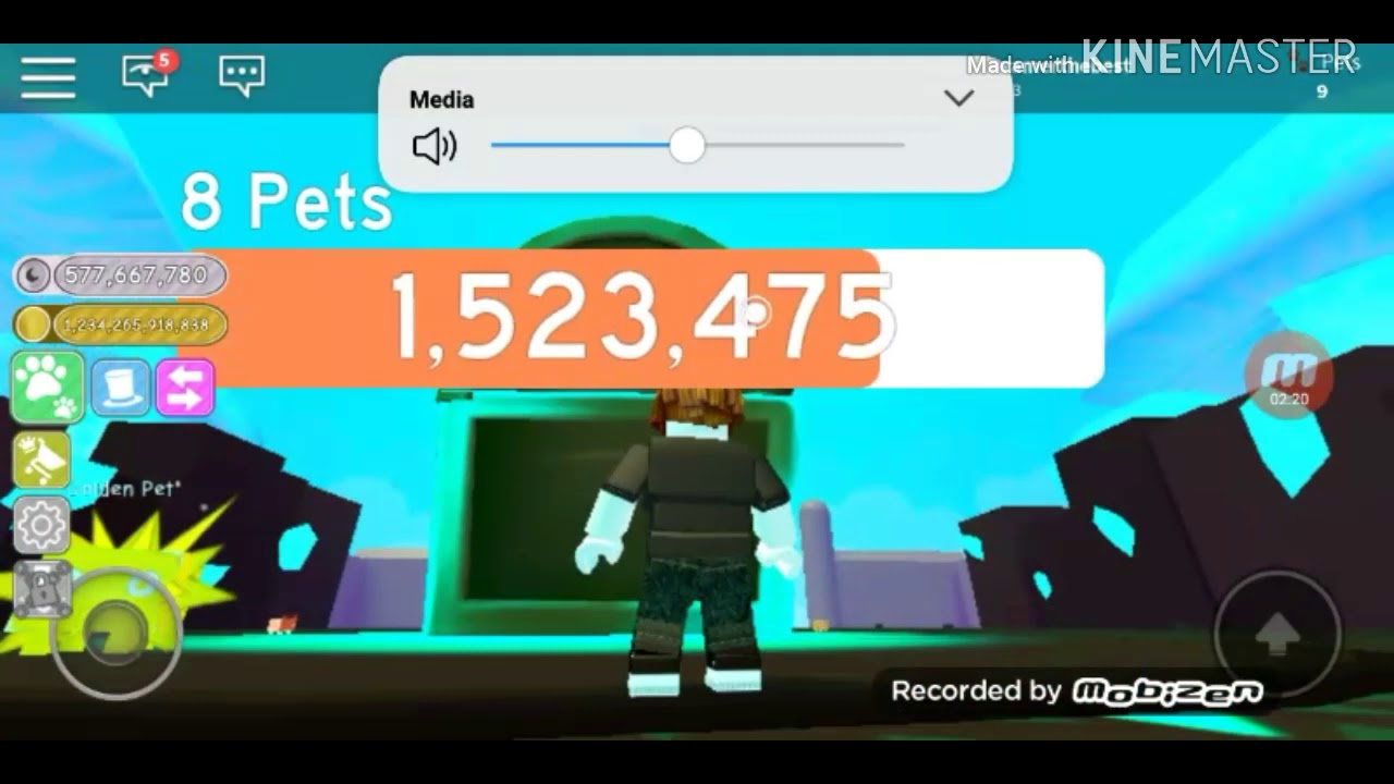 ROBLOX(Pet Simulator) - YouTube