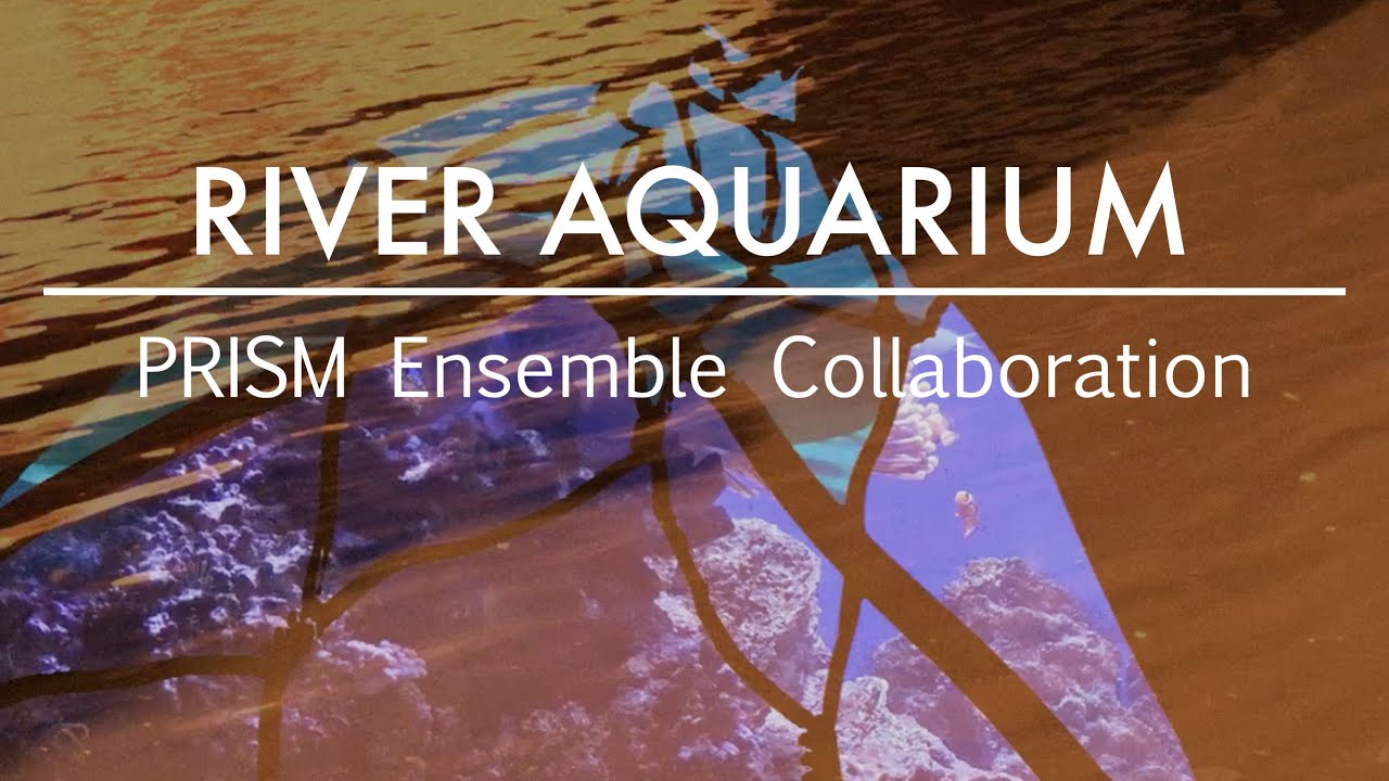 River Aquarium - Prism Ensemble Collaboration | Matthew Lomax - YouTube