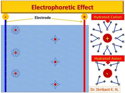 Electrophoretic Effect - YouTube