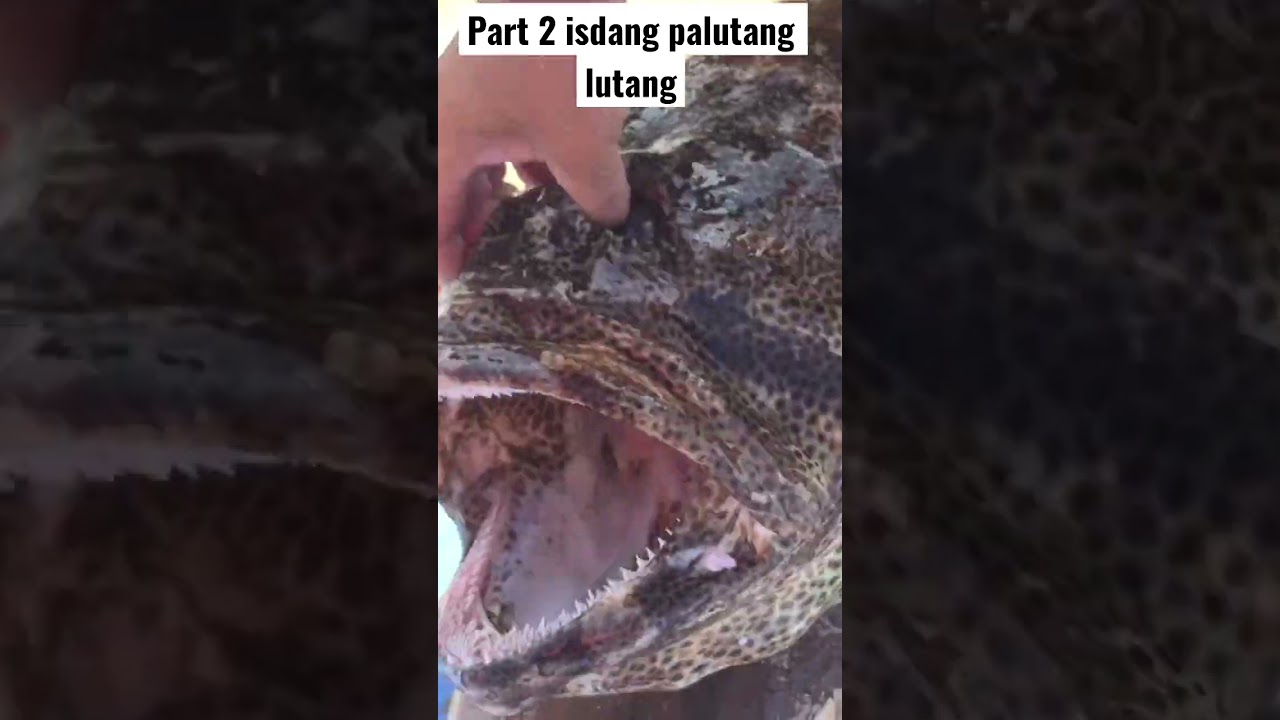 Isdang palutang lutang part 2 - YouTube