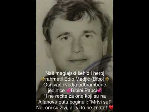 Bibini Pauci - Maglaj