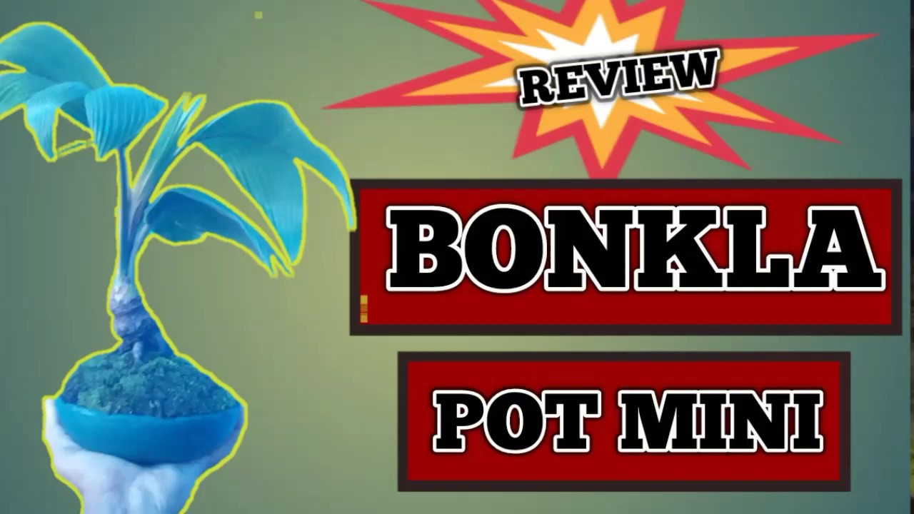 REVIEW BONKLA POT MINI - YouTube