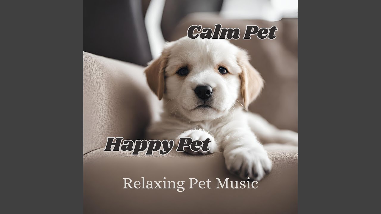 Dancing Paws - YouTube