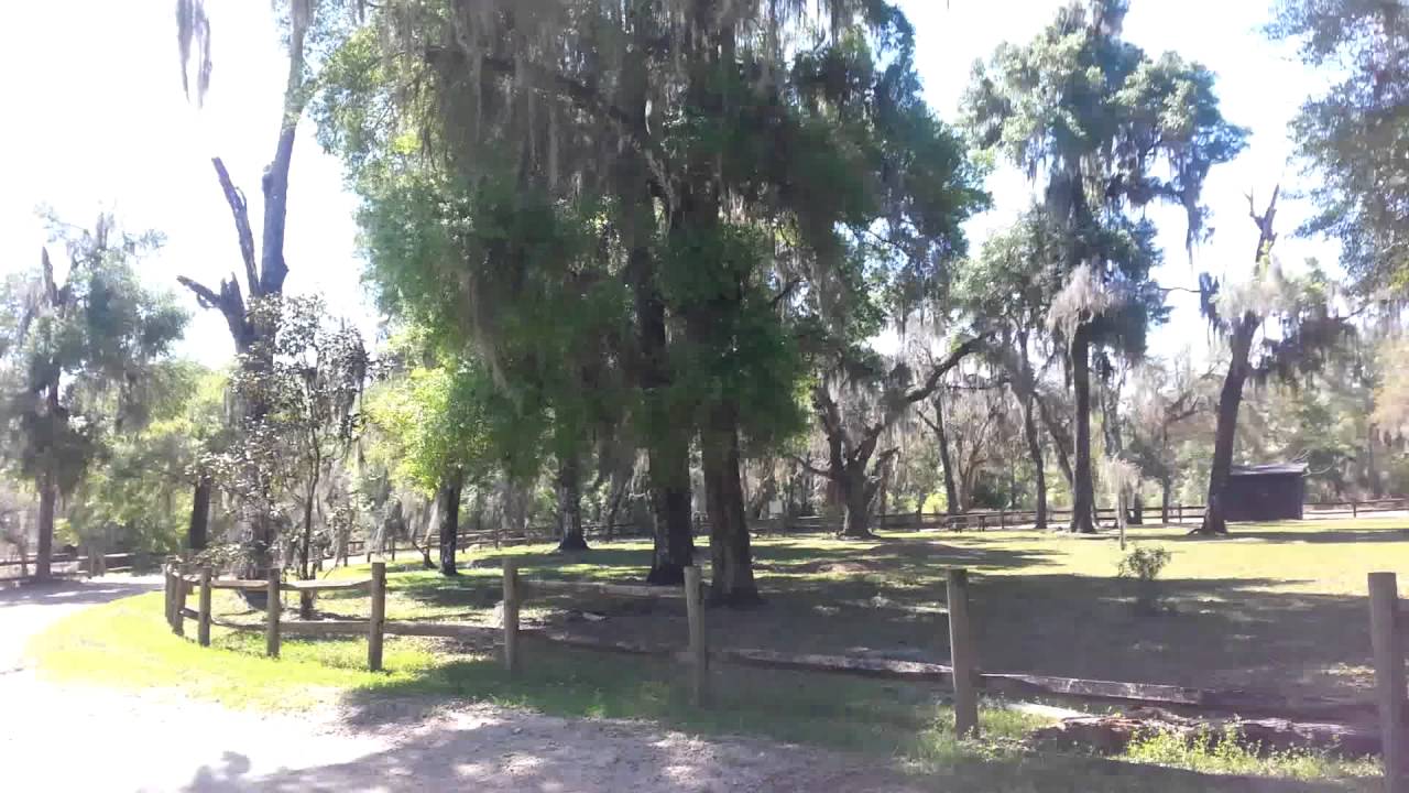 Beautiful ride on ATV (Florida Croom Motorcycle Park - April 2016 ...