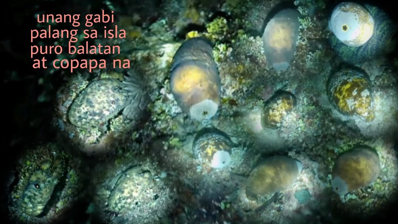 ep166, night spearfishing Philippines,unang gabi sa isla purong balatan ...