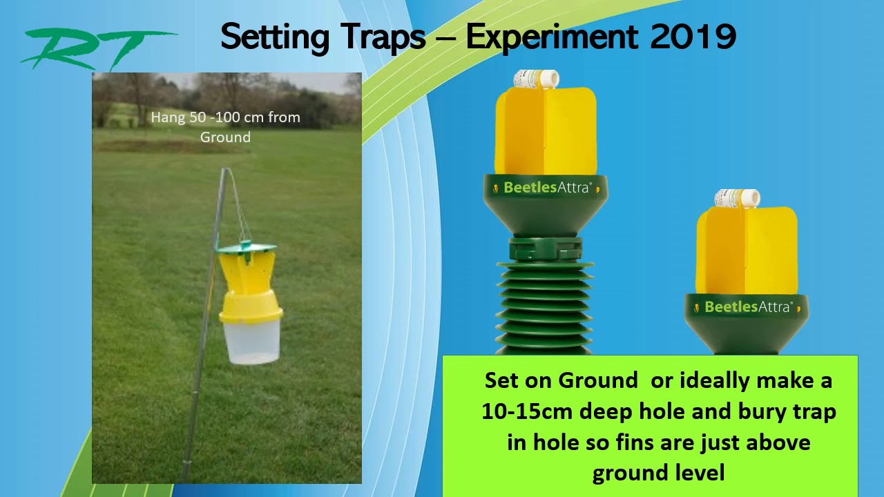 Chafer Trap: Planning Chafer Grub control - monitoring and trapping ...