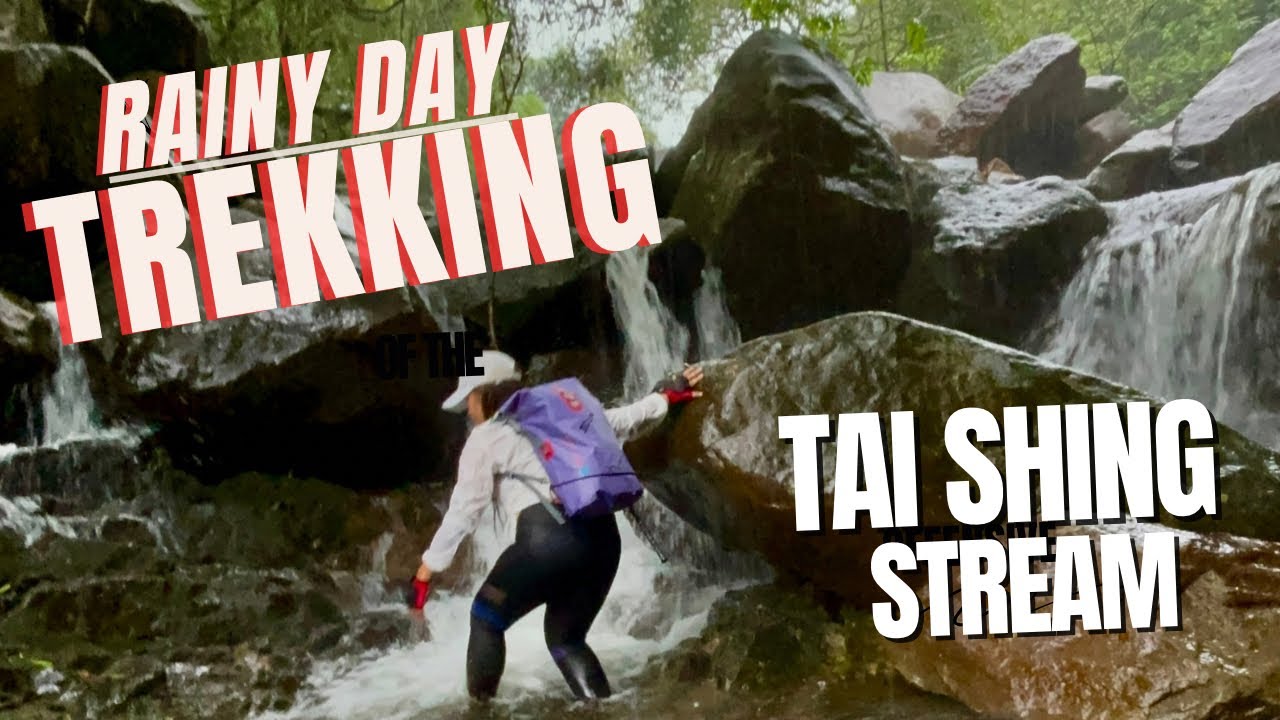 Rainy Trekking Day in Tai Shing Stream #trekking #hikers #nature - YouTube
