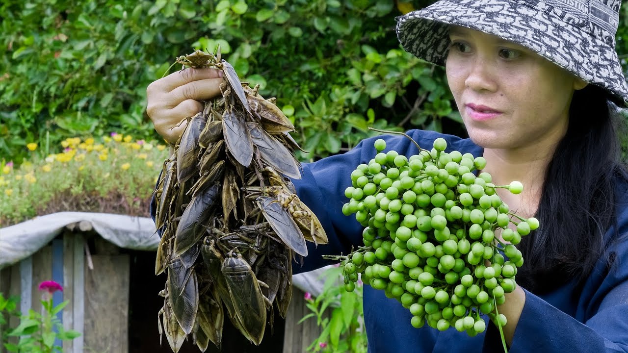 Wow! Eating Toe Biter Bugs - Delicious Bok Amok Traditional Foods ...