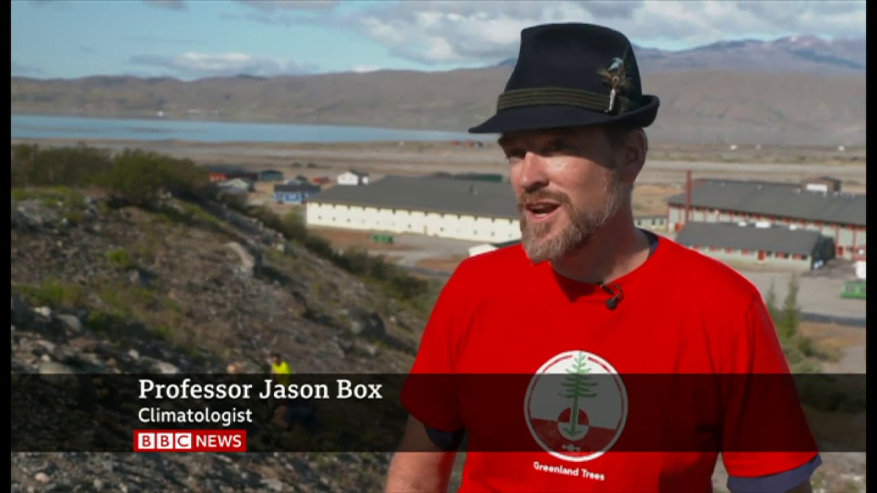 BBC News Greenland Trees segment - YouTube
