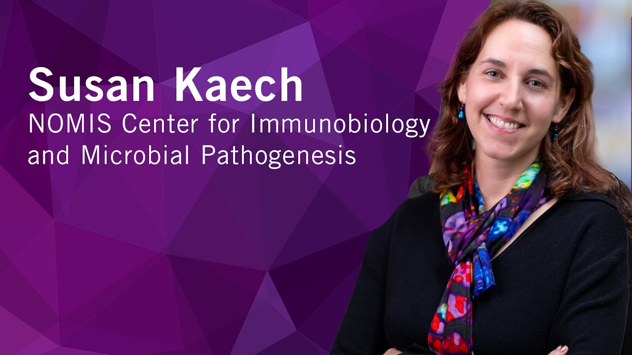 From Then to When | Meet Salk Scientists | Susan Kaech - YouTube