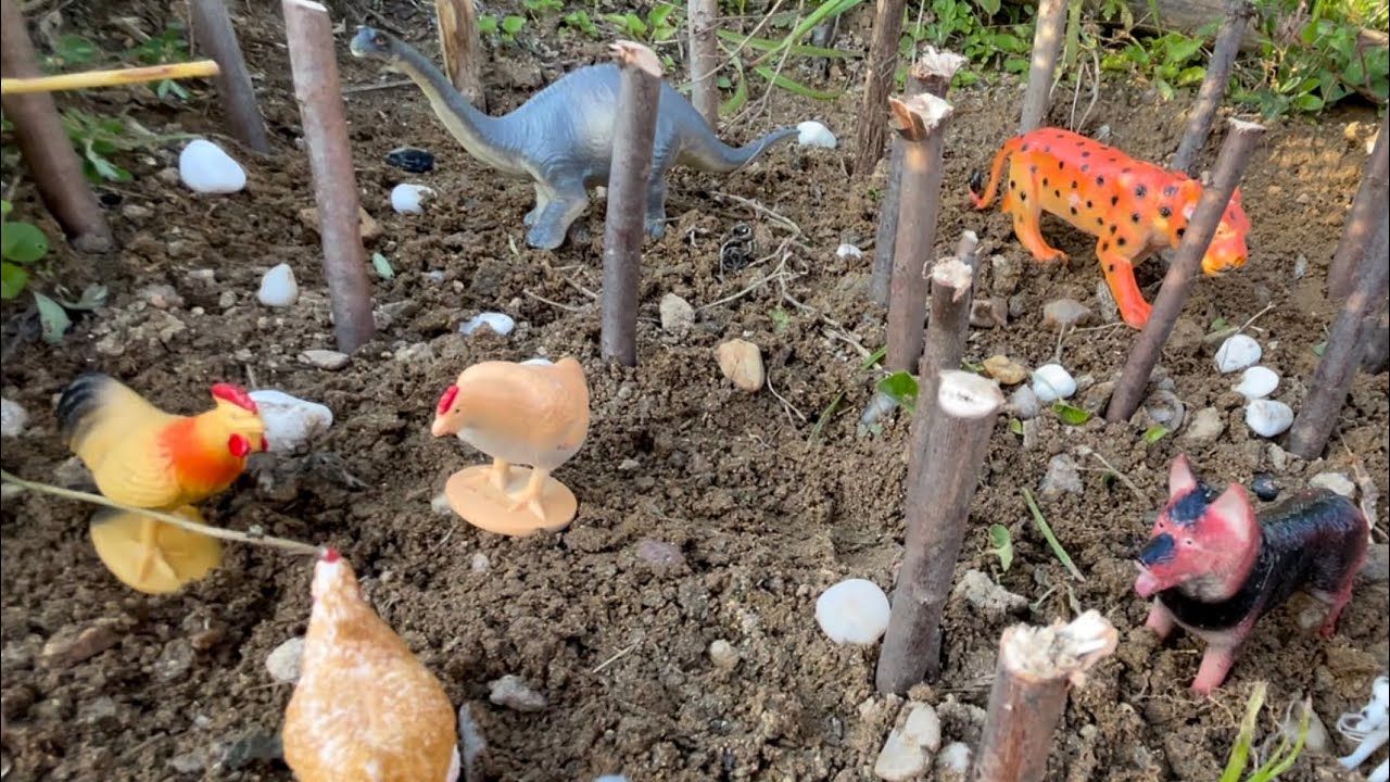 Animals zoo in forest/forest zoo animals collection/hens/dogs/dinosaur ...