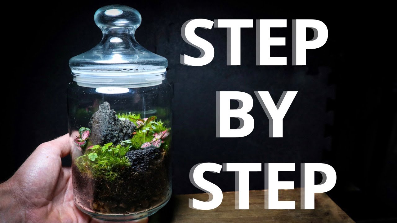 How To Make a Terrarium - Beginner Step By Step Tutorial - YouTube