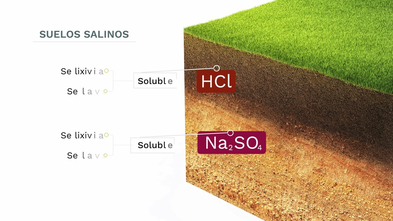 ¿Aún no conoces los beneficios del Azufre Elemental? - YouTube