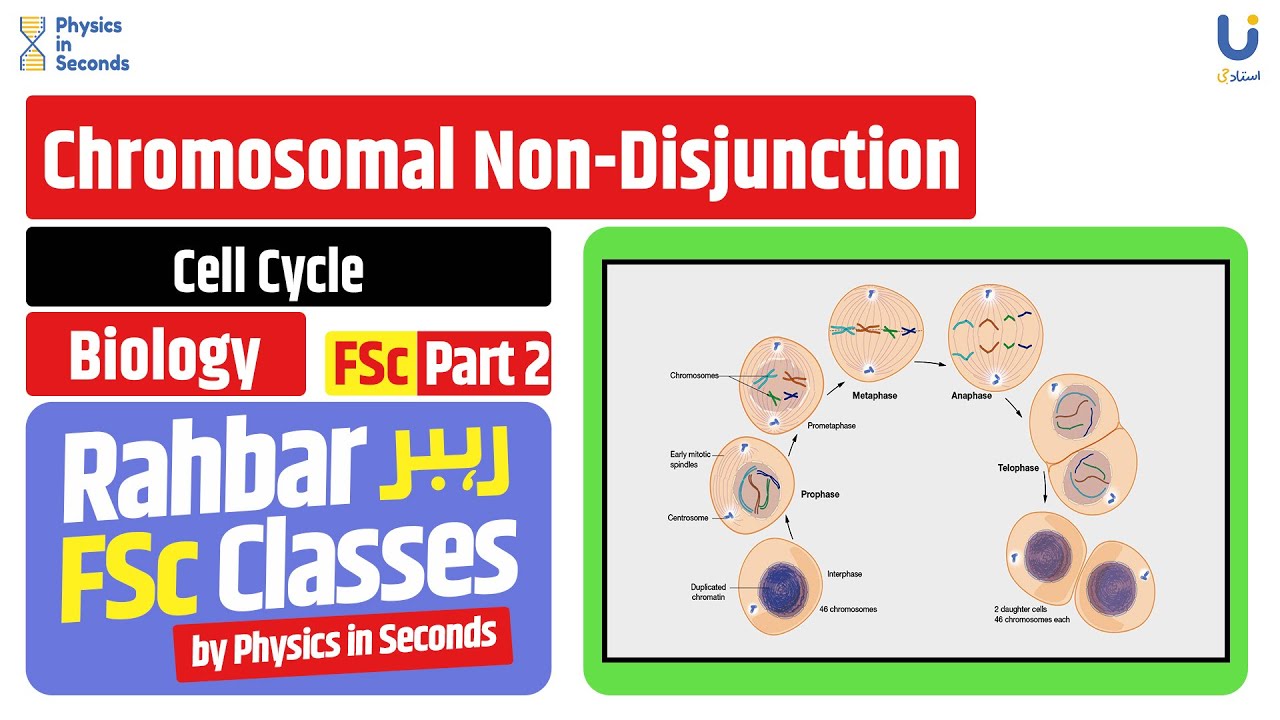 Biology - Chromosomal Non-Disjunction - FSc Part II - YouTube
