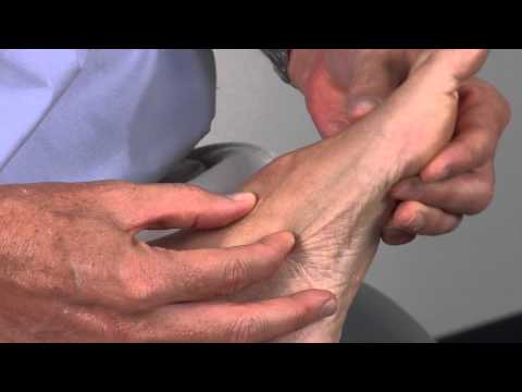 Ankle & Foot Bones