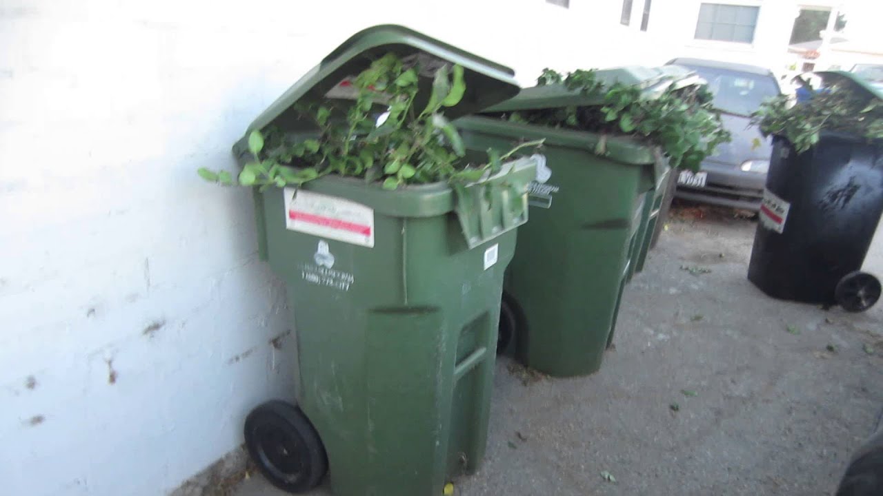 Cart Collection - YouTube