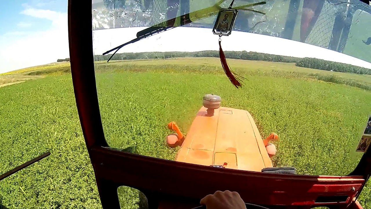 La cosit lucerna - YouTube