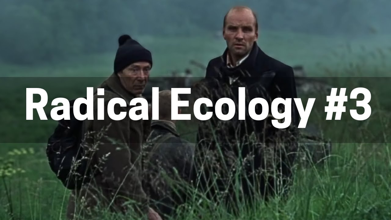 Notes on a Radical Ecology #3: Modern Subjectivity - YouTube