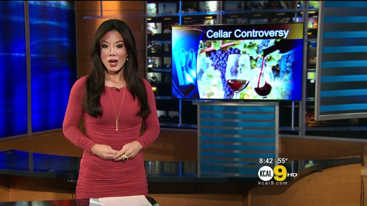 Sharon Tay 2012/02/16 KCAL9 HD; Pink dress - YouTube