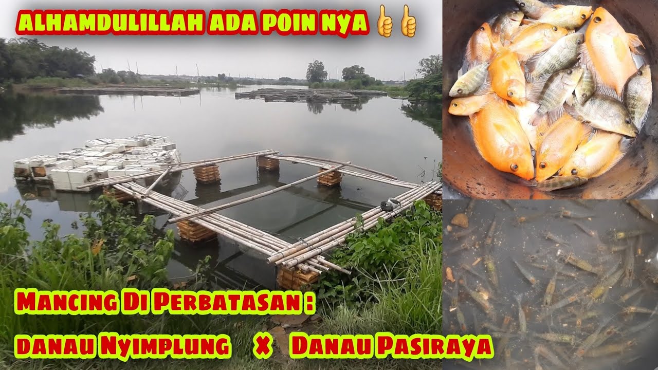 mancing liar • mancing red devil di danau cikarang • spot mancing liar ...