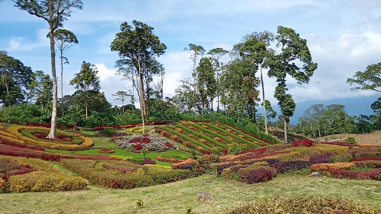 Panorama Puncak Tonang, Lubuk Sikaping - YouTube