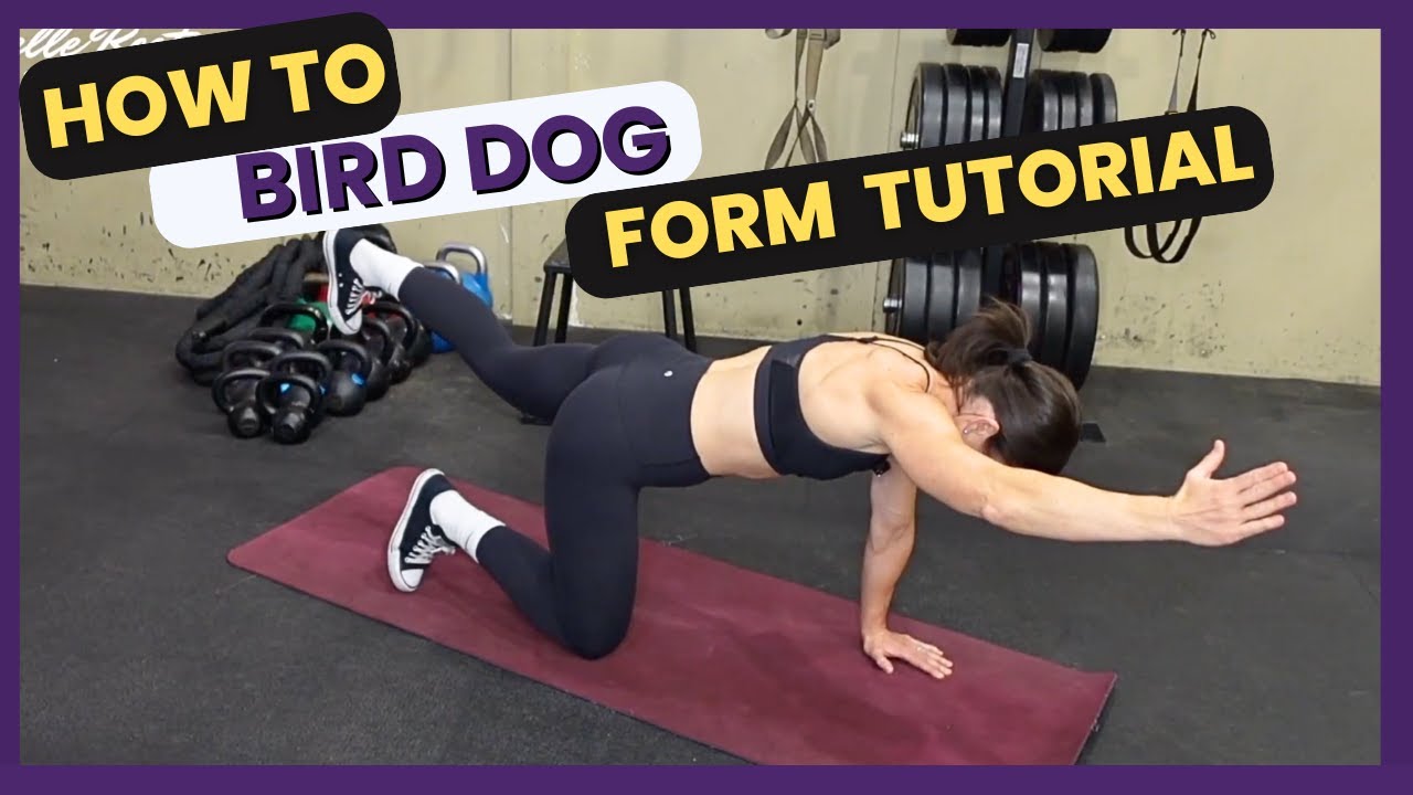 Bird Dog Core Strength Exercise Tutorial | Core Stability Exercise ...