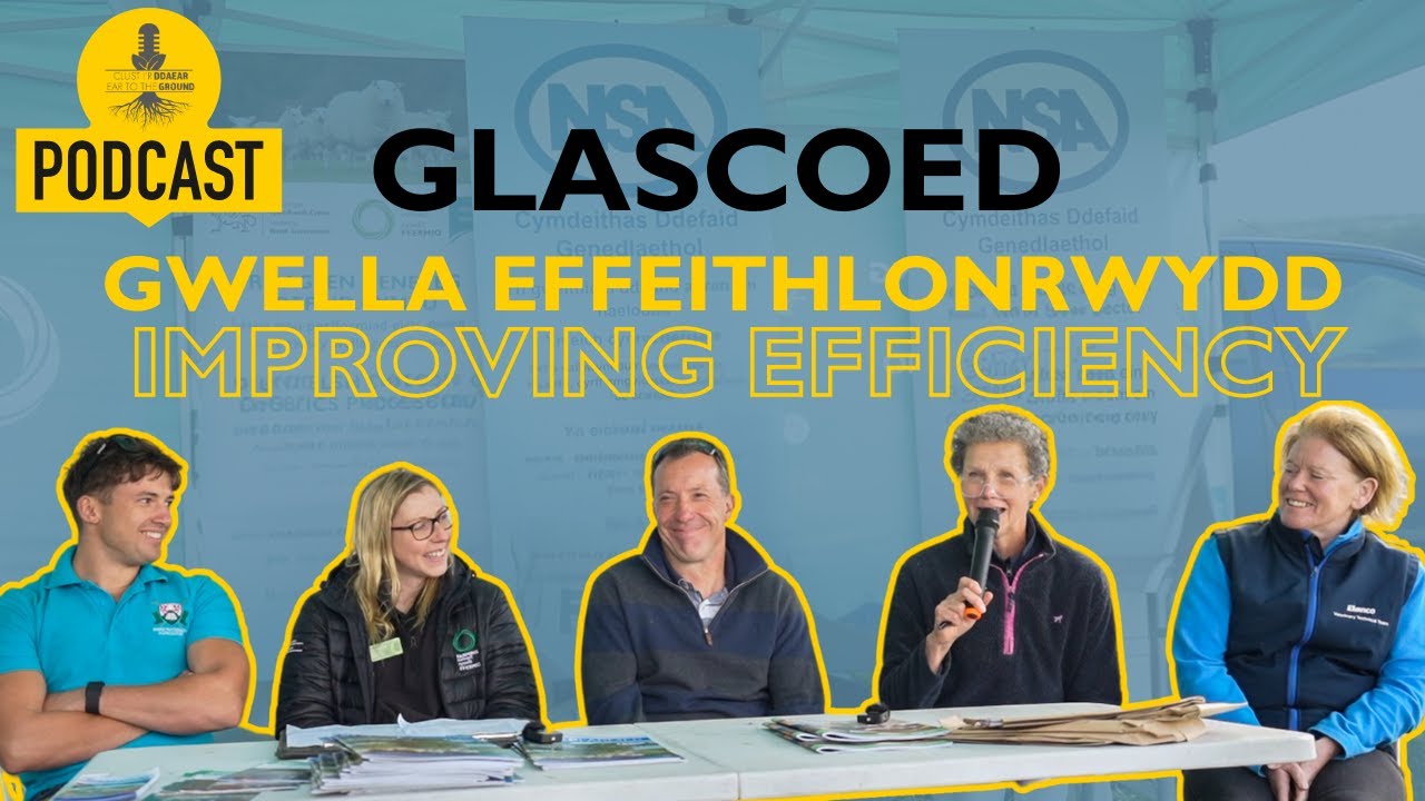 Clust i'r Ddaear: Glascoed | Ear to the Ground at Glascoed - YouTube