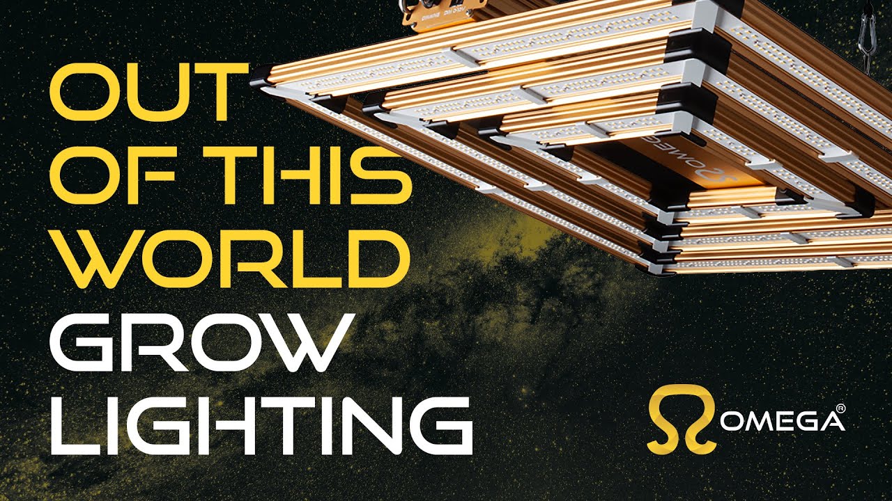 Omega Lighting Launch | Global Air Supplies - YouTube