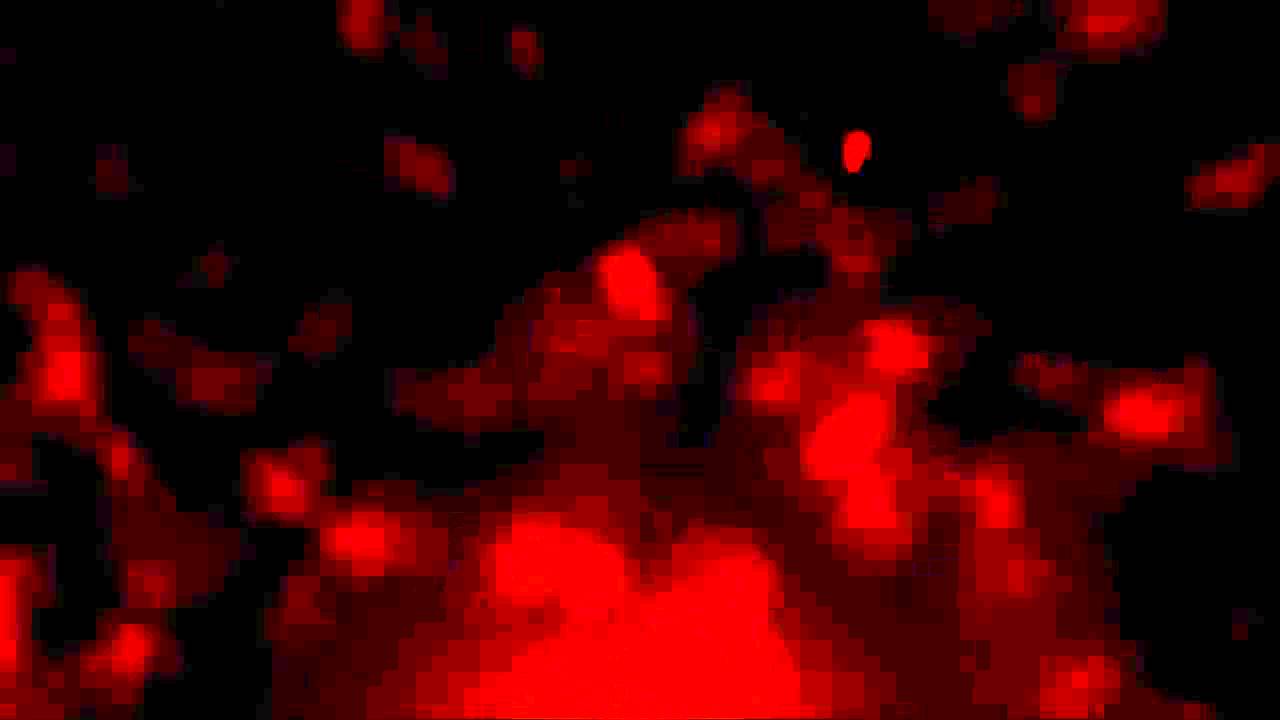 Intro para gabriel - YouTube