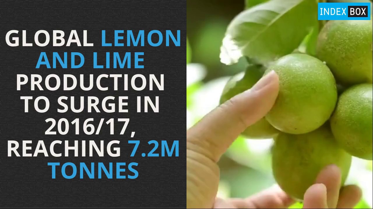 Global Lemon and Lime Production to Surge in 2016/17, Reaching 7.2M ...