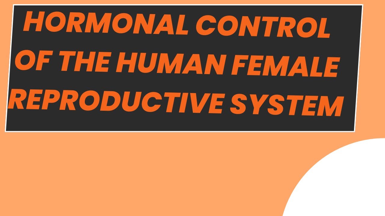 Hormonal control of the human female reproductive cycles - YouTube