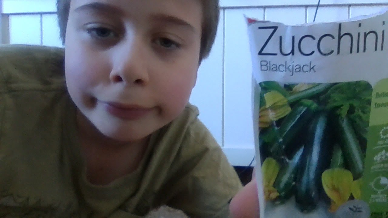 How to plant ZUCCHINI - YouTube