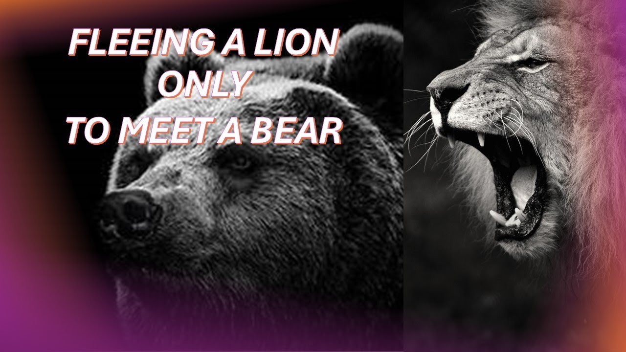 Fleeing A Lion Only To Meet A Bear - Amos 5:4-20 - YouTube