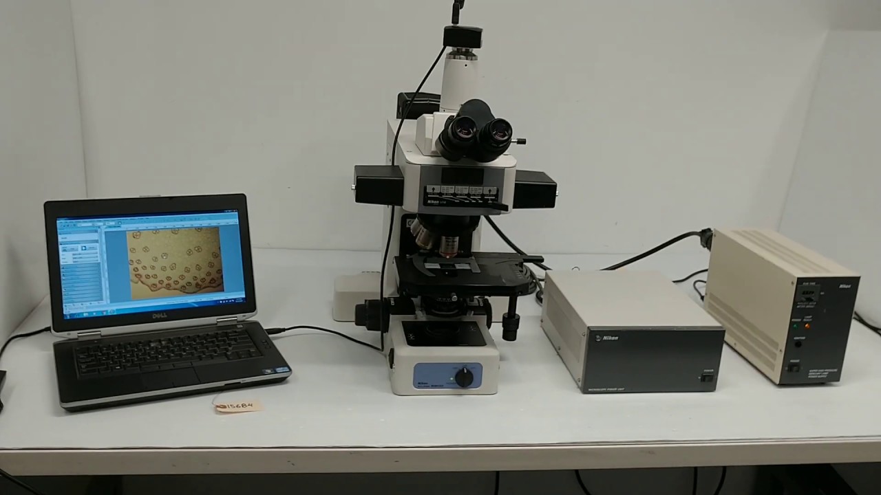 Nikon E800 Fluorescence Microscope [BOSTONIND] - 15684 - YouTube