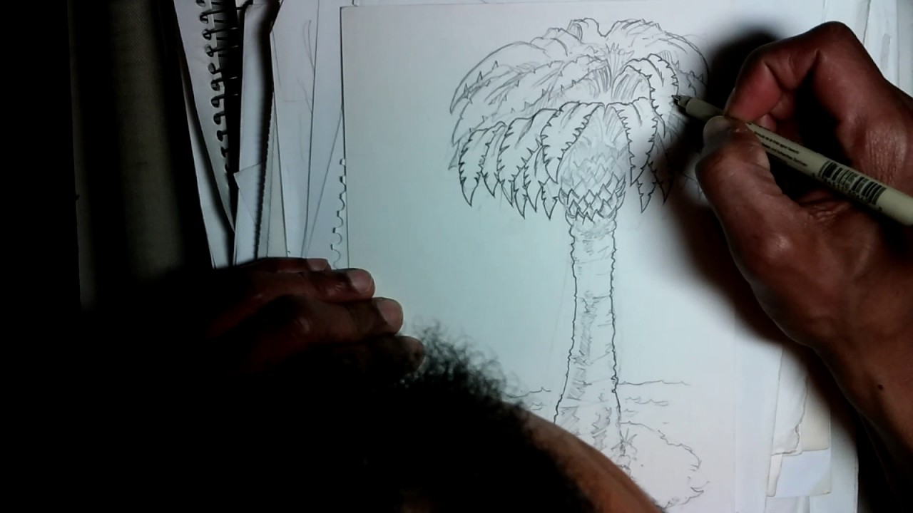 Bruce Morgan palm tree2 - YouTube