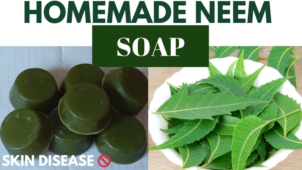 How To Make Neem Soap At Home/Health Benefits of Neem leaves Revealed ...
