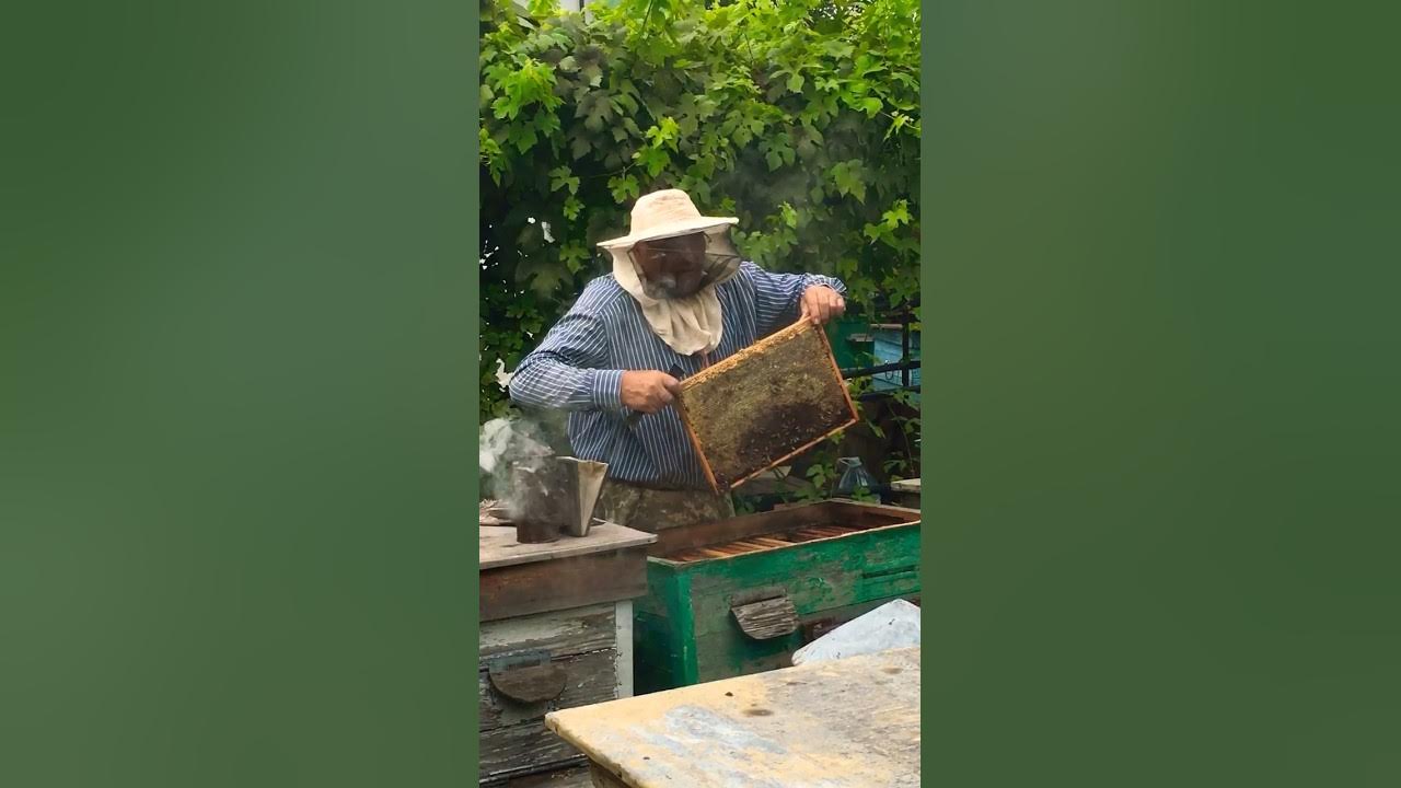 Лучшее лекарство от всех болезней - YouTube